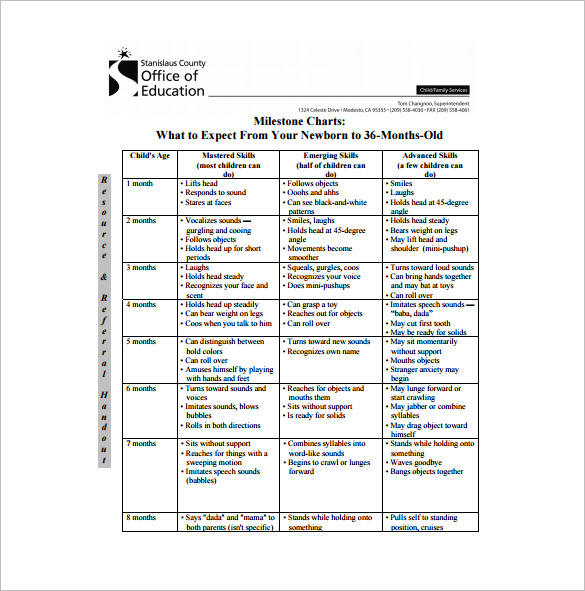 16+ Free Responsibility Chart Template in Excel | Word | Apple Numbers ...