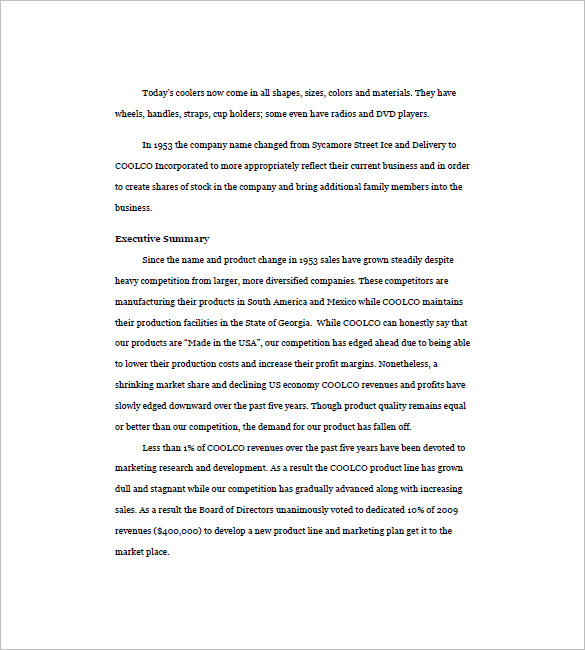 Marketing Plan Executive Summary Template 16 Free PDF Word Format 