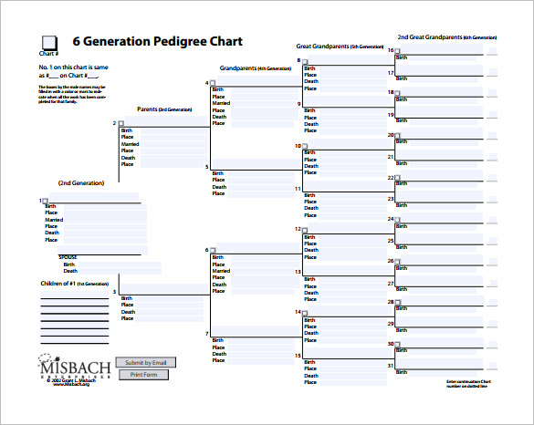 Free Printable 15 Generation Pedigree Chart