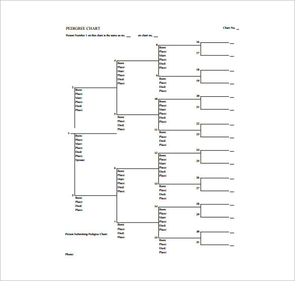 Pedigree Chart Template 9 Free Sample Example Format Download 