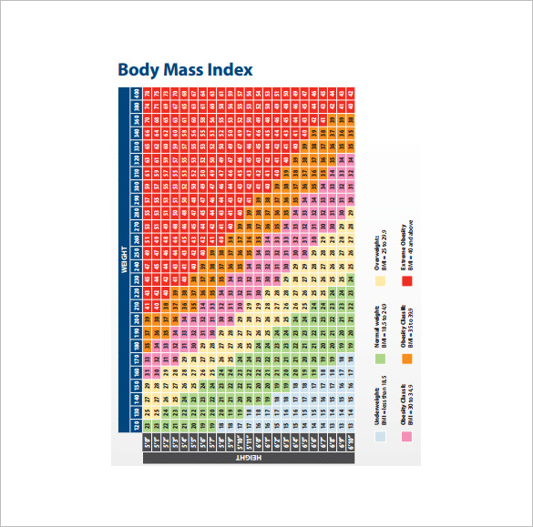 11+ BMI Chart Templates -DOC, Excel, PDF