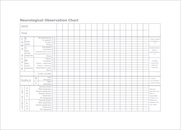 9+ Medical Chart Template - Free Word, Excel, PDF Format Download!