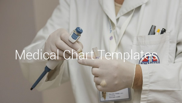 9+ Medical Chart Template - Free Word, Excel, PDF Format Download!