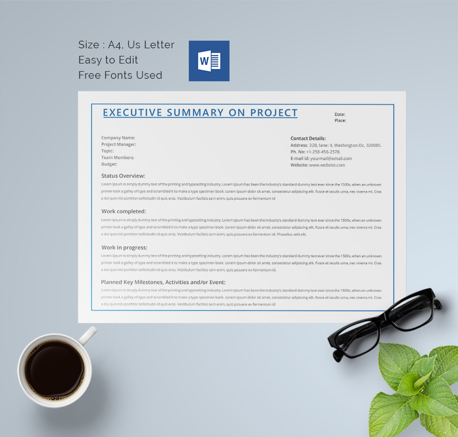 34+ Executive Summary Templates - Free Sample, Example Format Download!