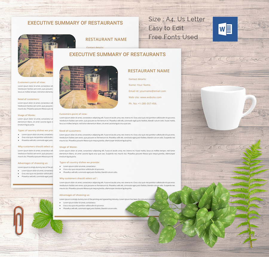 34+ Executive Summary Templates - Free Sample, Example Format Download!