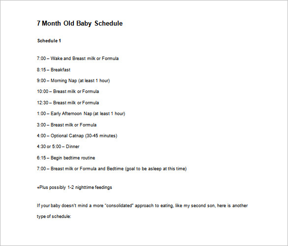 Baby Schedule Templates – 8+ Free Word, Excel, PDF Format Download!