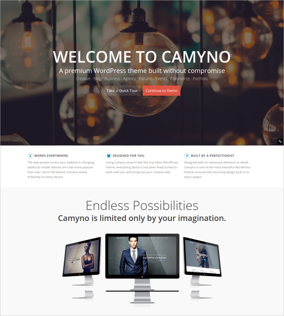 17+ Portfolio PHP Themes & Templates