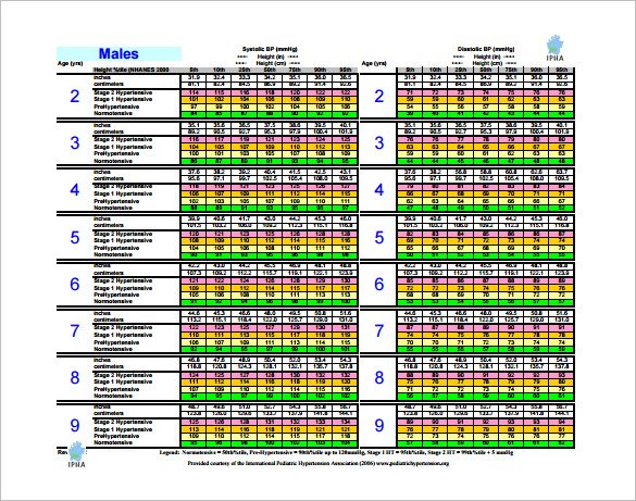 Printable Blood Pressure Chart By Age And Gender Cubaplm