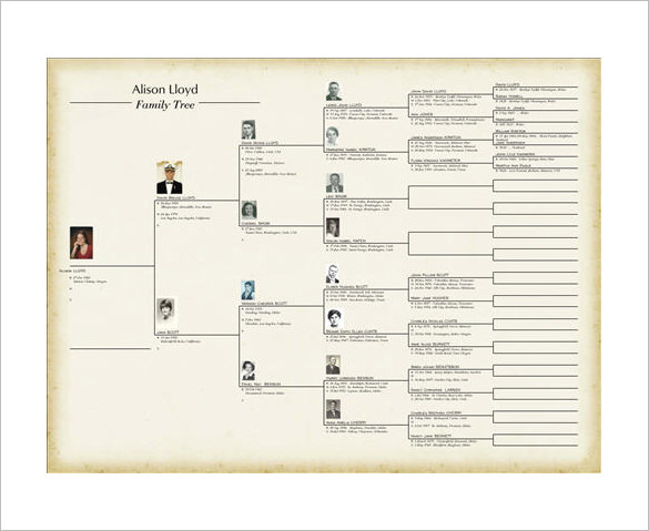Family Tree Book Template 9 Free Word Excel PDF Format Download 