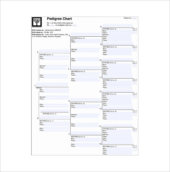 Printable Family Tree Template 7 Generations Printable Templates