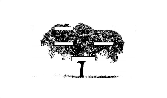 3 Generation Family Tree Template 10 Free Sample Example Format 