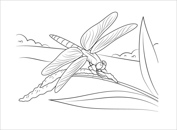 10+ Dragonfly Templates, Crafts & Colouring Pages