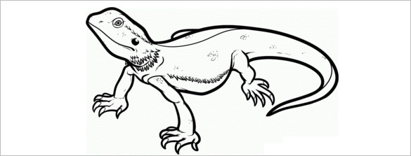 20+ Lizard Templates, Crafts & Colouring Pages | Free & Premium Templates