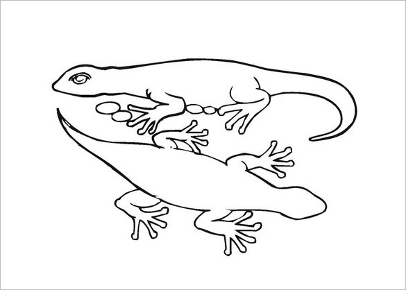 20+ Lizard Templates, Crafts & Colouring Pages | Free & Premium Templates