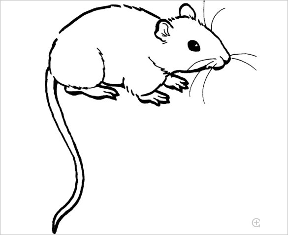 14+ Mouse Templates, Crafts & Colouring Pages - PDF, JPG