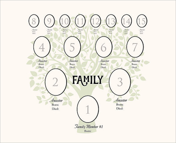 4 Generation Family Tree Template - 12+ Free Sample, Example, Format ...