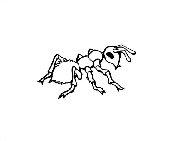 10 Ant Templates Crafts Colouring Pages Free Premium Templates