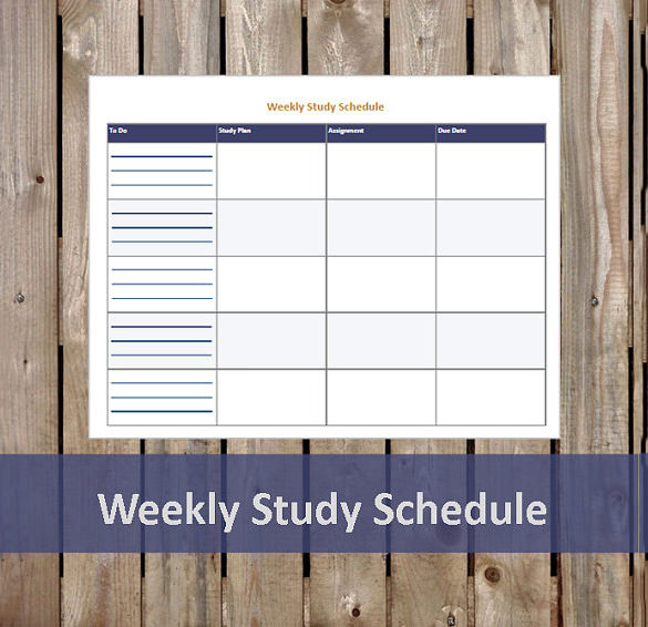 17+ Study Schedule Templates - Docs, PDF
