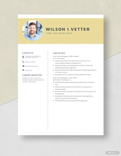 Java Developer Resume Template - 17+ Samples, Examples, Format Download!