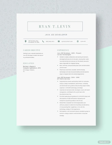 Java Developer Resume Template - 17+ Samples, Examples, Format Download!