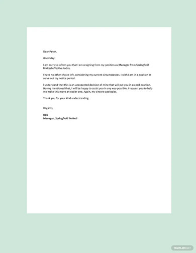 39+ FREE Notice Period Letter Templates - PDF, DOC
