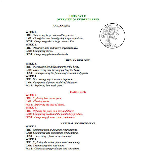 24+ Kindergarten Lesson Plan Template - PDF, DOC
