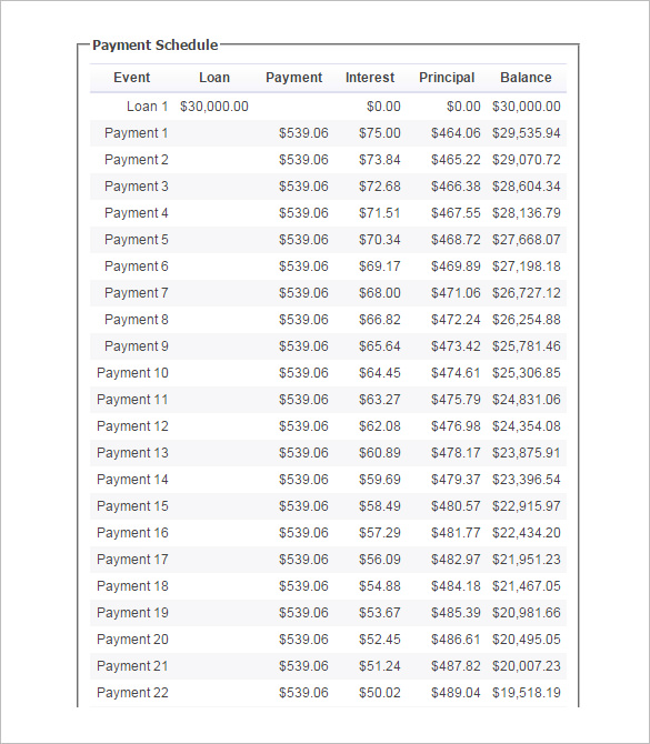 12+ Loan Payment Schedule Templates - Free Word, Excel, PDF Format ...