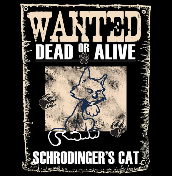 16+ Funny Wanted Posters - Free Printable, Sample, Example, Format ...