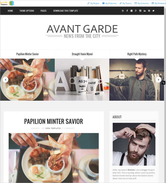 23+ Portfolio Blog Themes And Templates | Free & Premium Templates
