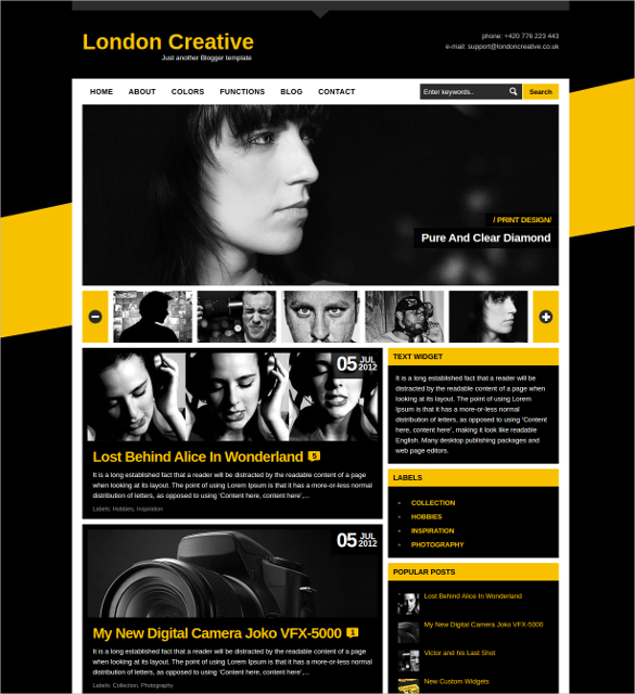 23+ Portfolio Blog Themes And Templates | Free & Premium Templates