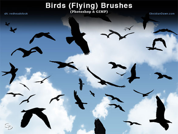 441+ Bird Photoshop Brushes – Free ABR, PSD, EPS Format Download!