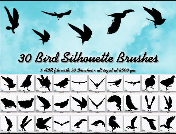 441+ Bird Photoshop Brushes – Free ABR, PSD, EPS Format Download!
