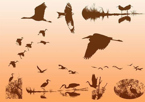 441+ Bird Photoshop Brushes – Free ABR, PSD, EPS Format Download!