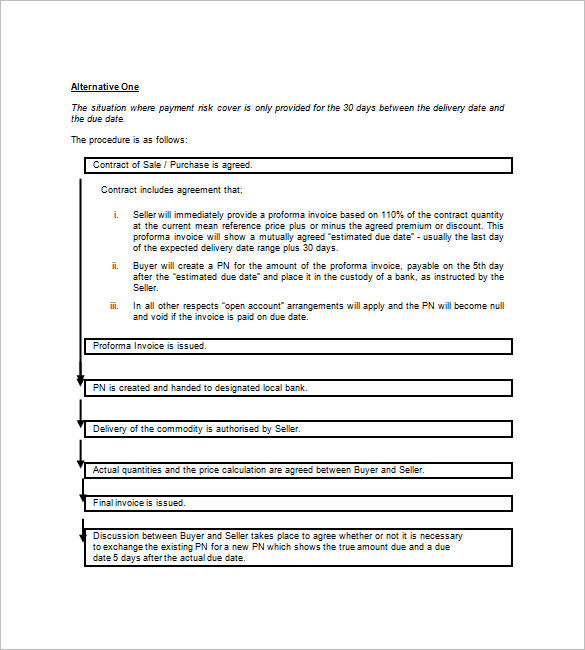 6+ International Promissory Note - Free Word, Excel, PDF Format Download