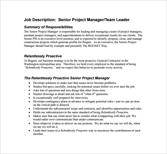9 Project Manager Job Description Templates