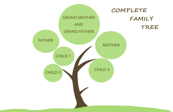 36 Sketch Family Tree Drawing Ideas Images Indonesian Food Recipes