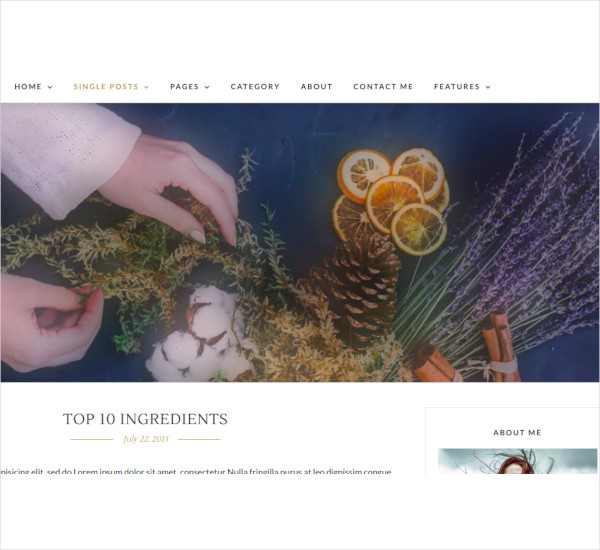 23+ Portfolio Blog Themes And Templates