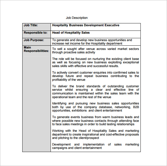 PDF Job Description For Sales Manager Business Development PDF 