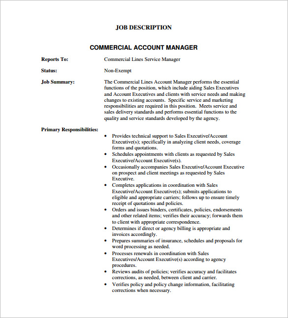 Account Manager Job Description Template 14 Free Word PDF Format 