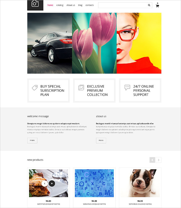 30+ Photography Blog Themes & Templates | Free & Premium Templates