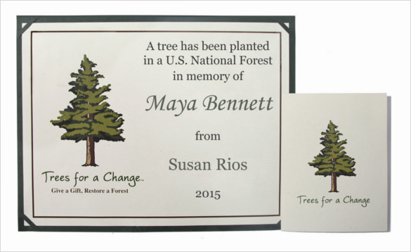 19+ Message Template - Free Word, PDF Documents Download!