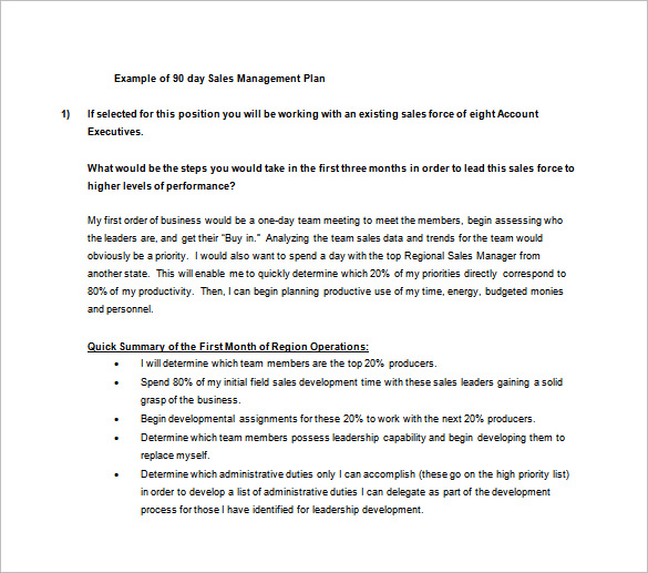 27+ Sales Plan Template - PDF, Docs, Word