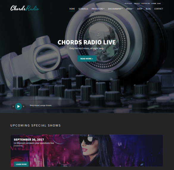 29+ Radio Station Website Themes & Templates