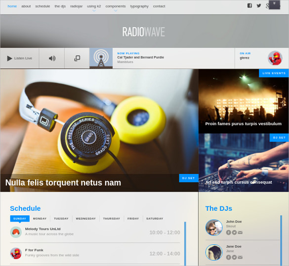 29+ Radio Station Website Themes & Templates