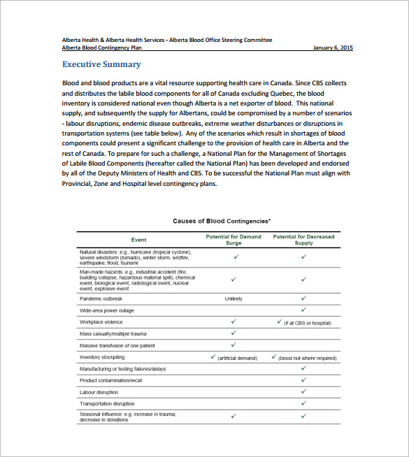 10 Contingency Plan Templates Word PDF