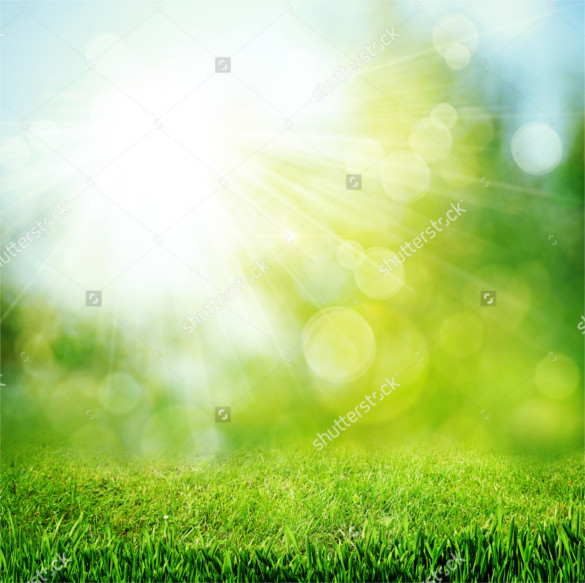 115+ Green Backgrounds - PSD, EPS, Illustrator | Free & Premium Templates