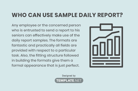 28+ Sample Daily Report Templates - Word, PDF, Apple Pages, Google Docs