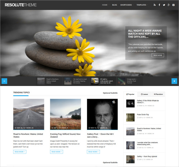 17+ Journal Website Themes & Templates
