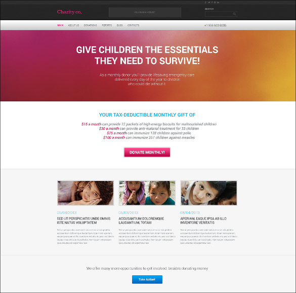 18+ Charity Blog Themes & Templates