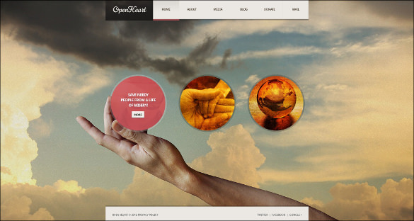 18+ Charity Blog Themes & Templates